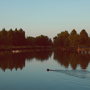 About Burning Tree Ranch | Long-Term Treatment in Texas