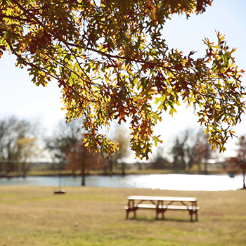 About Burning Tree Ranch | Long-Term Treatment in Texas