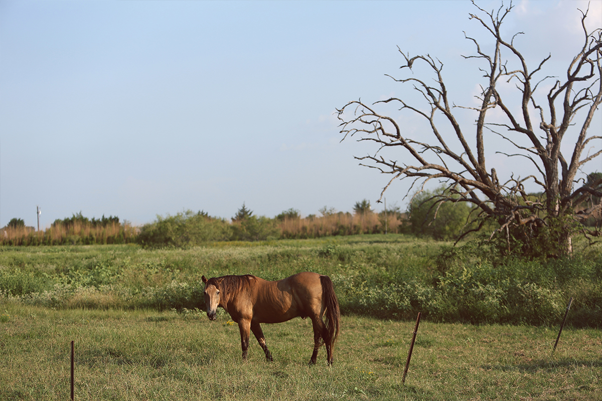 Explore Burning Tree Ranch | Overview Videos & Photo Gallery
