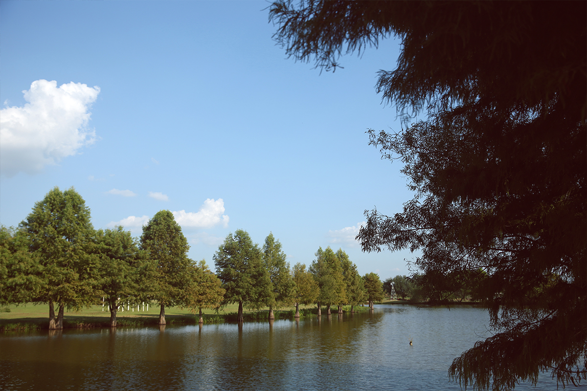 Explore Burning Tree Ranch | Overview Videos & Photo Gallery