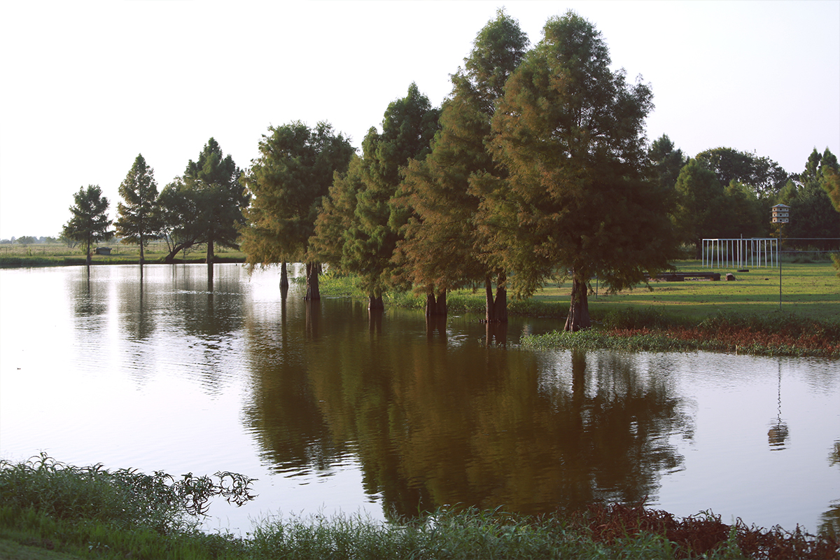 Explore Burning Tree Ranch | Overview Videos & Photo Gallery