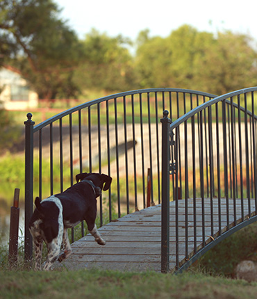Introduction to Burning Tree Ranch | A Program of Excellence