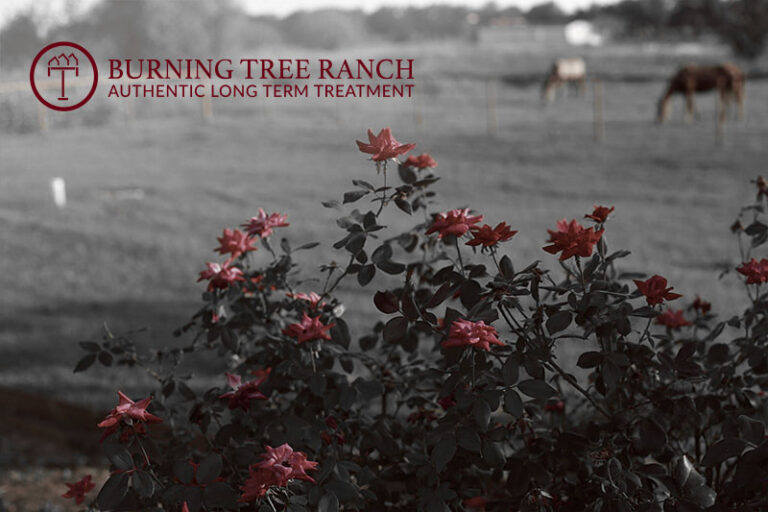 Sleep-Wake Disorders | Dual Diagnosis | Burning Tree Ranch